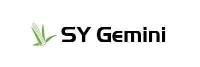 SY Gemini - Variety Porumb | Syngenta