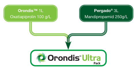 Orondis Ultra Pack - Forța supremă împotriva manei viței de vie | Syngenta